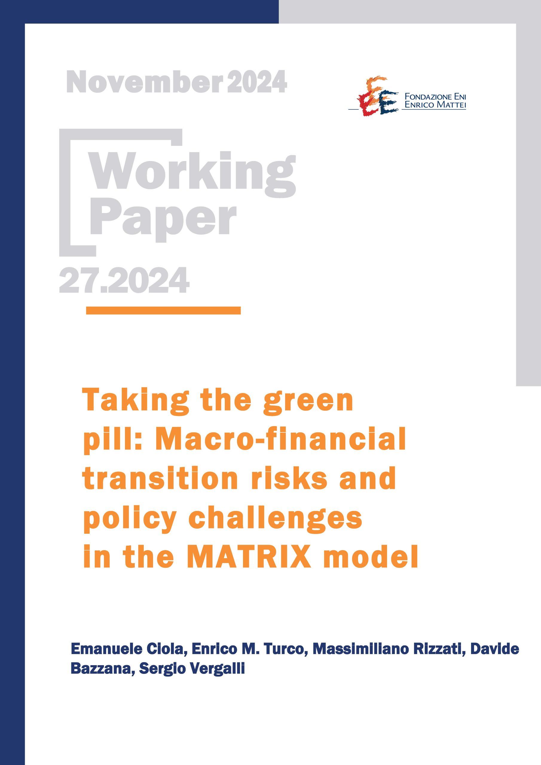 Macro-financial transition risks in the MATRIX model