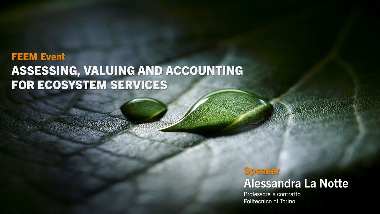 Assessing, Valuing and Accounting for Ecosystem Services - Fondazione ...